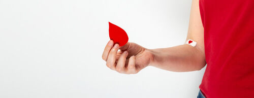 Was verraten Blutwerte über unsere Gesundheit? · MVZ Clotten Labor Dr ...